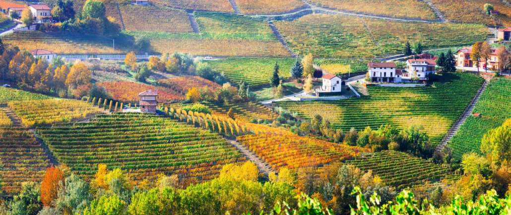 The Best of Italian Wine Private Tour