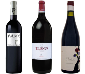DO Wines Spain - Bierzo Spanish Wine D.O. Region