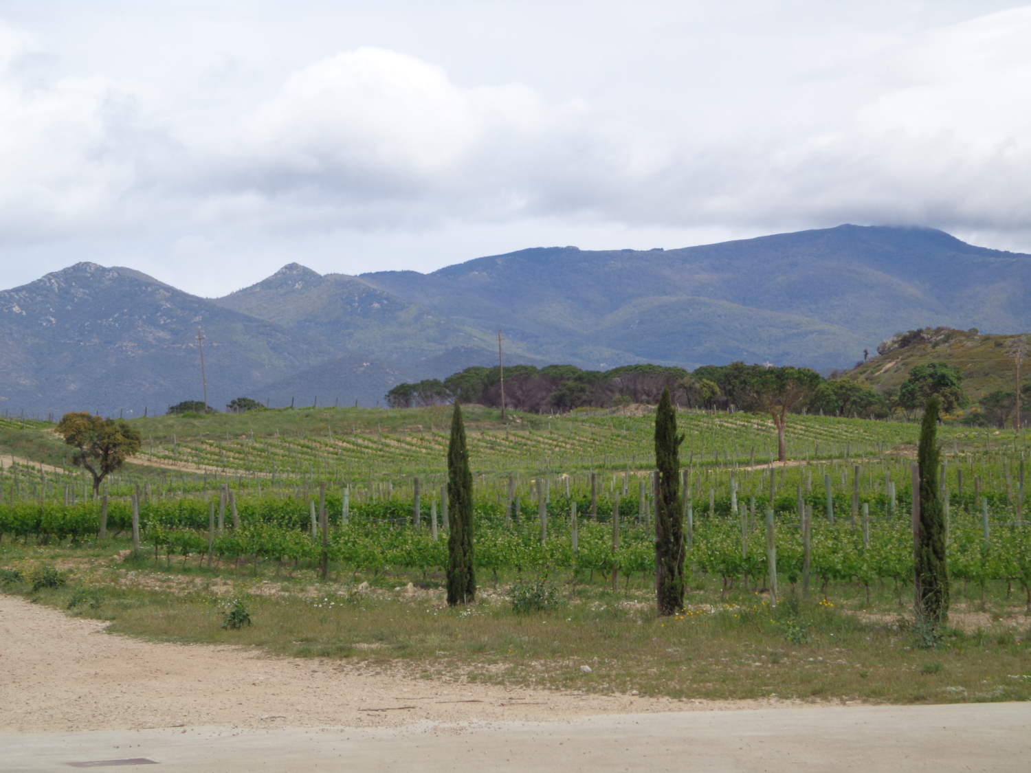 Terra Remota Winery - Emporda DO Wine Region of Spain