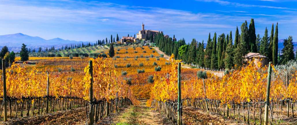 The Best of Italian Wine Private Tour