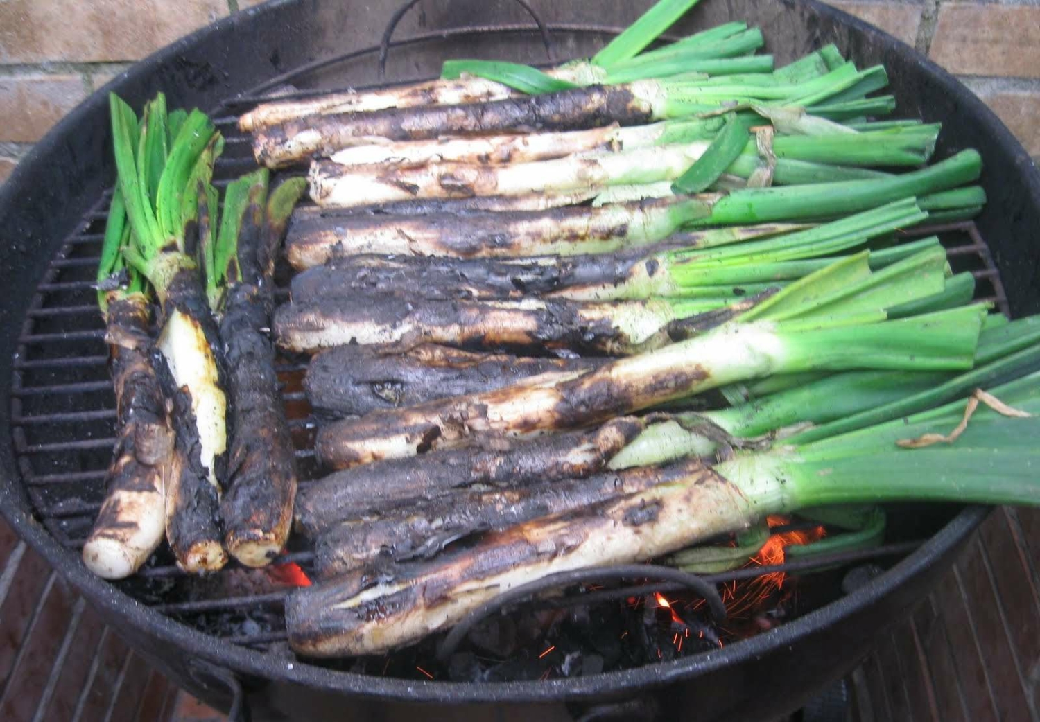 Traditional Spanish Style Calçots
