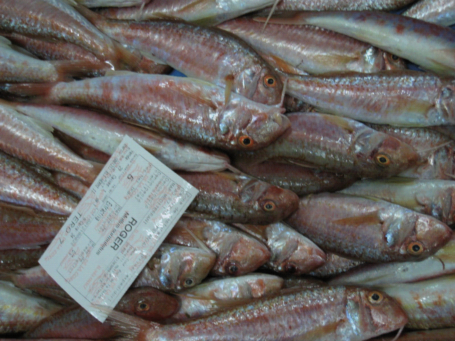 Palamos fish market, Catalonia, Spain
